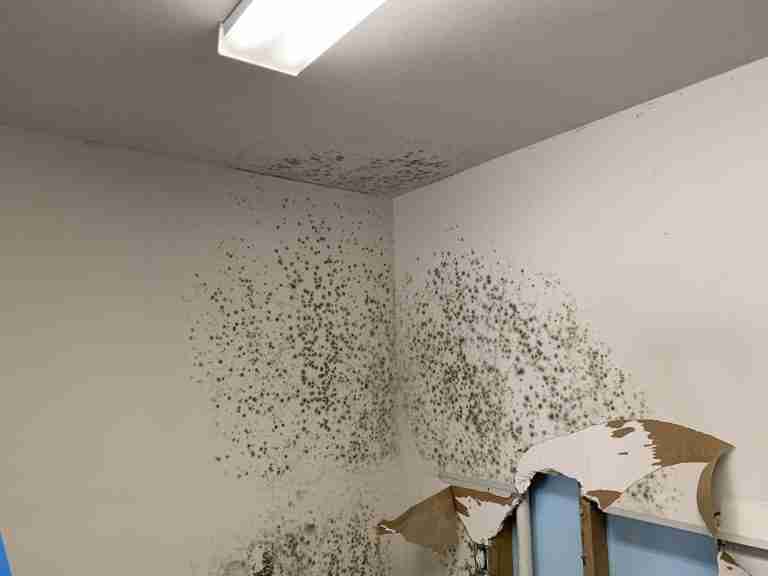 Damage Restoration Services Austin | All Nation Restoration