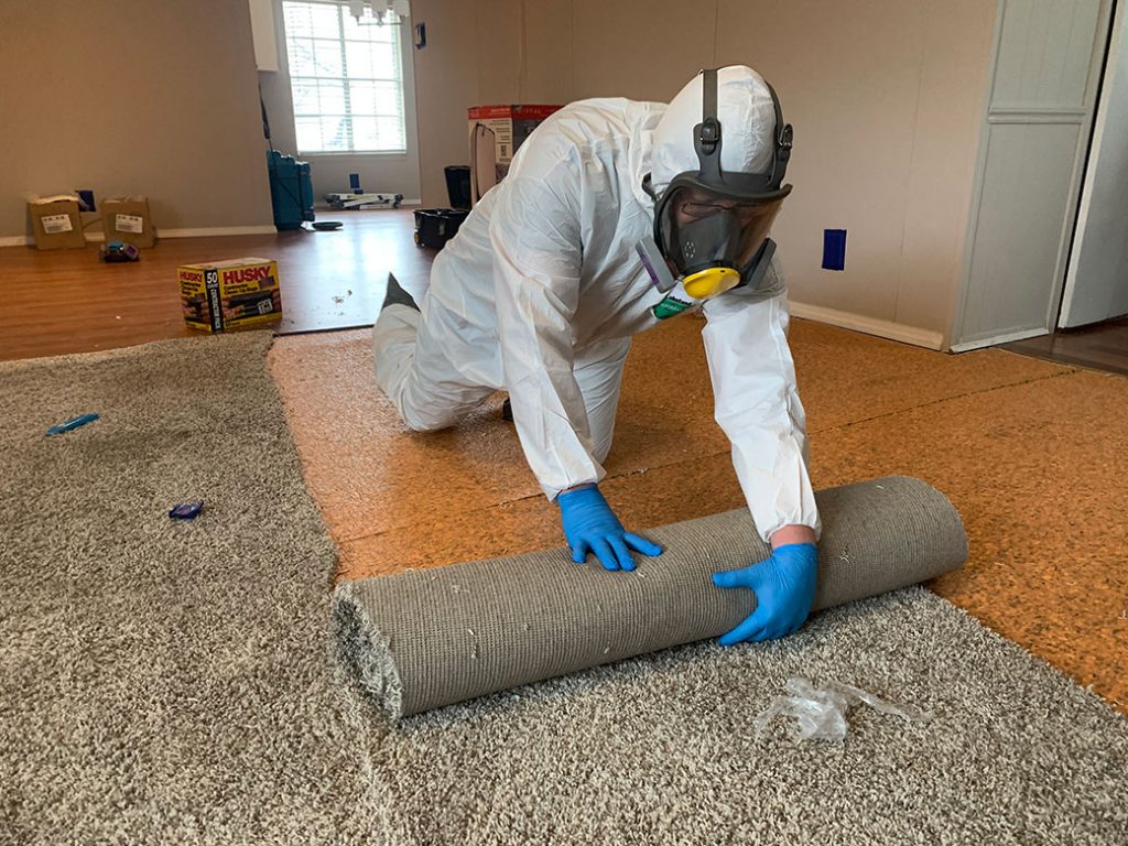 Unveiling the Truth: The Reliability of Home Mold Testing Kits and How ...